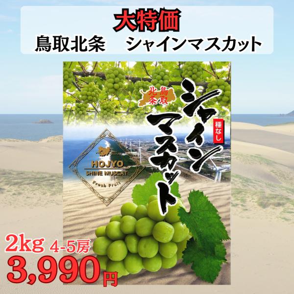 鳥取県産のシャインマスカットを約2kg、4房から5房入りでお届けします。皮ごと食べられる人気の青系ぶどうで、糖度が高く酸味は控えめ、上品な甘みとはじける果汁が魅力です。果皮が薄く、パリッとした食感で食べやすいシャインマスカットです。種なし処...