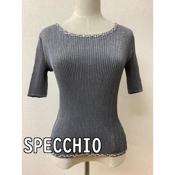 グレープリーツトップス シルバースパンコールとビーズ飾り サイズ40