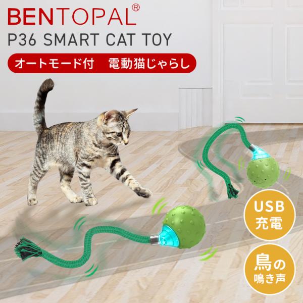 ■型番BPAL0051■サイズ（約）本体：高さ5.5×幅5cm、紐の長さ：27cm■重量（約）61g■内容本体×1個USBケーブル Type-C×1個取り付けオプションパーツ×2個■素材ポリカーボネート/ABS/シリカゲル■生産国中国ベント...