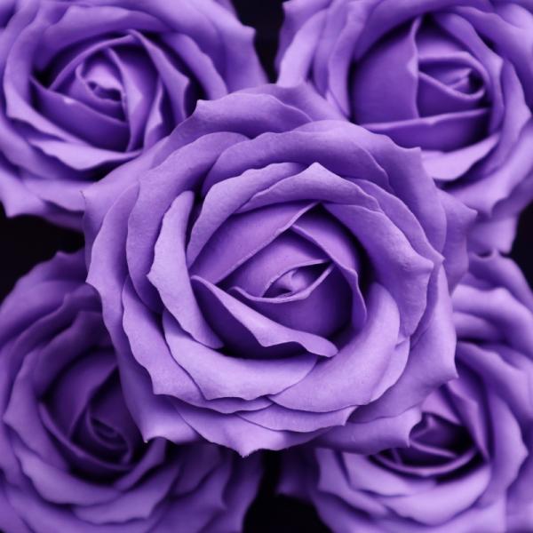 こちらの商品はソープフラワーと共に材料ご自身で選び、オリジナルデザインで世界に一つだけの花のお手伝いするDIY材料になります。一部の写真はイメージのご参考やショップ内の使用例です。ご基本のサイズや色がない場合はお気軽にお問合せください。ショ...