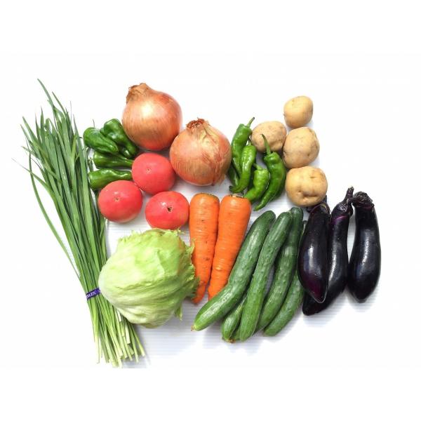 生命の農法化学農薬、化学肥料を一切使用せずに栽培した、旬のお野菜セット！2~3人用の中セット約8品※写真はイメージのため、季節によってお送りするお野菜は異なります。（写真の内容は8月の内容です）その時折の旬のものを詰めさせていただいておりま...