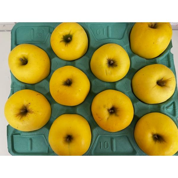 岩手県盛岡市で、40数年前から化学合成農薬や化学肥料を一切使わずに、無農薬で栽培されているりんごです。農地周辺の雑草や、広葉樹の落ち葉、豆がら、米糠などの有機肥料を主体とし、微生物の力を借りて生態系や水環境などを大事にして栽培されております...