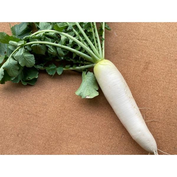 化学農薬や化学肥料は一切使っておりません。