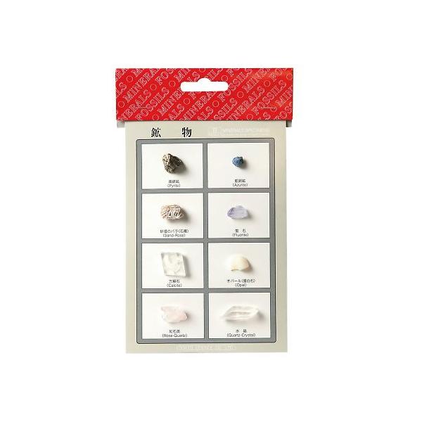 実験室設備 工具類 工具その他●鉱物標本8種●入数：1セット●簡単な解説付き●※天然物のため、材料入手の都合により内容を変更する場合があります。