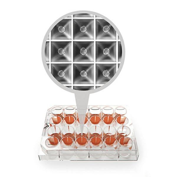 分析・特殊機器 培養機器・容器 培養容器●細胞を播種するだけで細胞塊が形成されます。●均一な大きさで、ほぼ球形に形成されます。●1ウェルあたり750のマイクロプレートが存在し、プレート1枚で最大9000個のスフェロイドが作製可能です。●サイ...