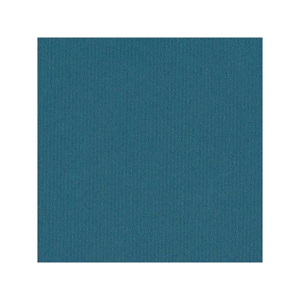 実験室設備 事務用品・ＯＡデスク 事務用品●封筒などによく利用される筋入り原紙に着色した商品です。●サイズ：757×530mm●材質：筋入58g/m2●入り数：100枚/外袋