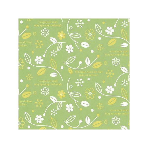 実験室設備 事務用品・ＯＡデスク 事務用品●流れのあるやわらかな曲線のお花たちが、想いも一緒に包んでくれます。●サイズ：750×528mm●材質：上質64g/m2●入り数：50枚/外袋