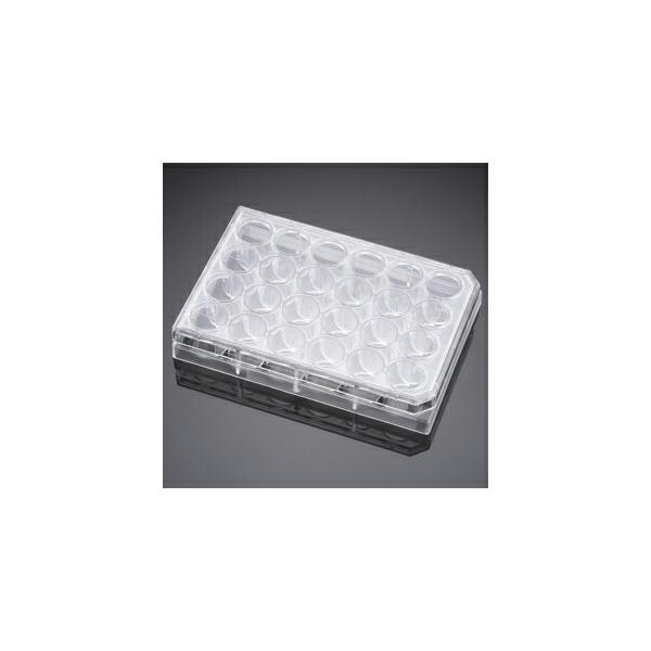 汎用科学機器 定温・恒温機器 気相定温・恒温機器●PureCoat●アミン●24ウェルプレート●入数：1ケース（5個/パック×1パック）