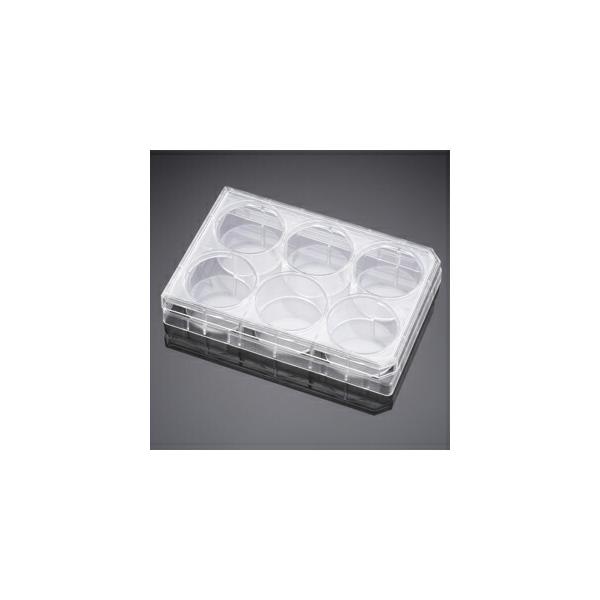 汎用科学機器/定温・恒温機器/気相定温・恒温機器Corning（Falcon） PureCoat ECM Mimetic コラーゲンI 6ウェル 1ケース(5個×2パック入)●PureCoatECMMimetic●コラーゲンI●6ウェル●入...