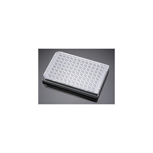 汎用科学機器/定温・恒温機器/気相定温・恒温機器Corning（Falcon） PureCoat アミン 96ウェル黒色/透明プレート 5個/パック×10パック 1ケース(5個×10パック入)●PureCoat●アミン●96ウェル黒色/透明...