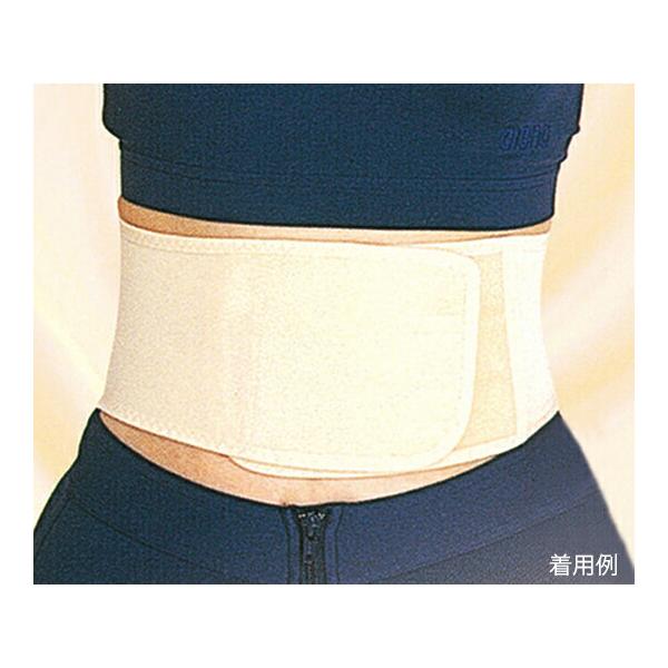 ●お腹に16個、腰に24個の磁石を、お腹と腰の両面から挟むように配置しています。●磁石をN極S極交互配列することにより、広く磁気効果が出るよう工夫しています。●★使用しているフェライト磁石は、サビない身体にやさしい磁石です。●★取外し可能な...