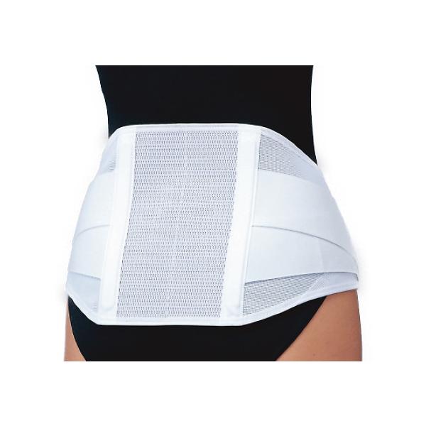 アズワン　ナビ助掲載商品特徴オールラウンドに使用可能な、ムレにくいメッシュタイプのスタンダードモデルです。腰にフィットするS字ステー2本と、背部から体に沿って圧迫力を補強する補助ベルトで腰部をサポートします。仕様型番：322204サイズ：L...