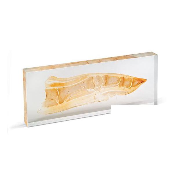 専門店 AITOZ 7665 部屋干しBD長袖ポロシャツ 3L yoshiyuki0804.sub.jp