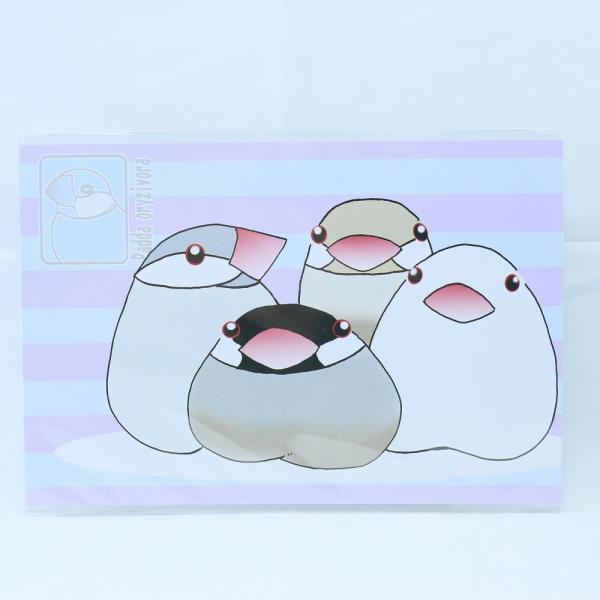 文鳥のイラストポストカードです。サイズ：100×148mm/1枚