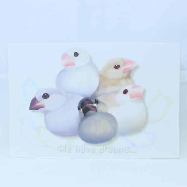 イラスト文鳥のポストカードです。サイズ：100×148mm/1枚