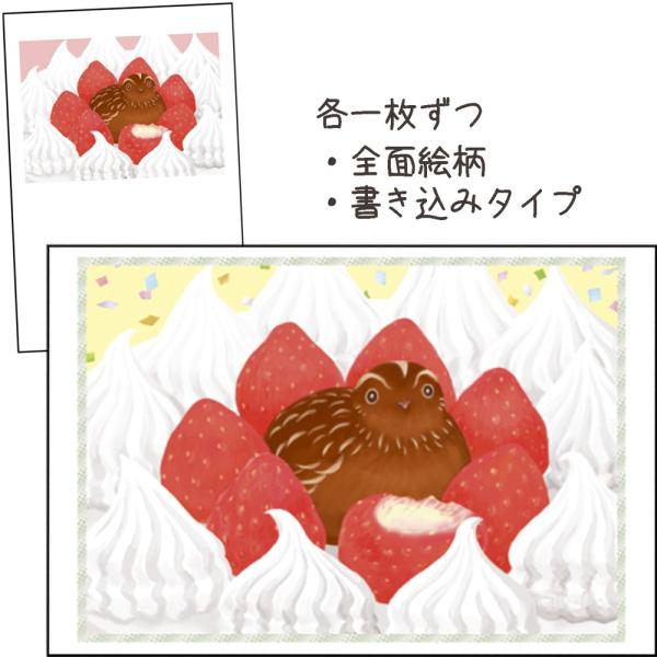 全面イラストバージョンと、書き込み可能なサラ紙製の二種を一組にして。二枚入っているのでとってもお得。