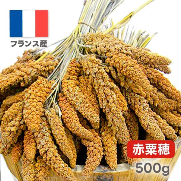 【発売日：2017年03月10日】商品名：フランス産 赤粟穂内容量：500g保存方法：高温多湿・直射日光を避け、涼しい場所に保管し、お早めにお使い下さい。※本商品は、そのときの作柄の出来不出来により、多少実つきが変動いたします。あらかじめご...