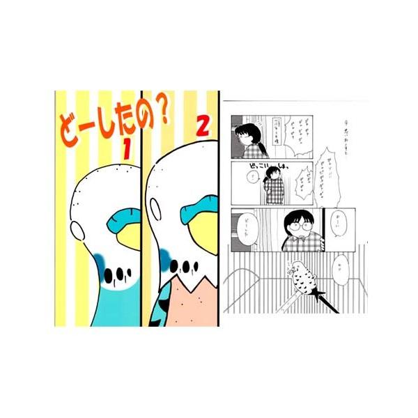 ２００５年、２００７年に発行したセキセイインコ・ヒコの闘病話。 A５・ｐ３２・オフセット印刷