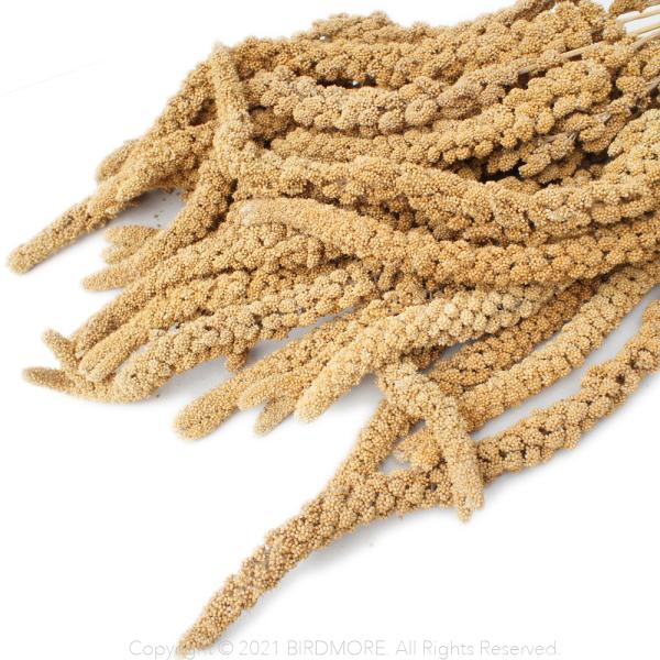 【発売日：2021年03月10日】100g単位での量り売りの黄粟穂です。※数量2＝200g、数量5＝500g、数量17＝1,700g、数量80＝8,000gのようになります。この商品は、そのときの作柄の出来不出来により、多少実つきが変動いた...