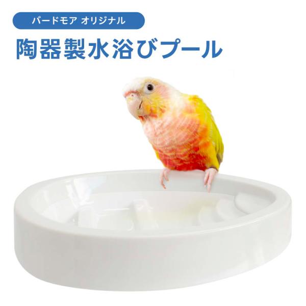 【発売日：2022年01月30日】BIRDMOREオリジナル！！中型くらいまでのインコや文鳥などのフィンチに最適な卵形陶器製水浴びプールです。安定感があり、長期間使用しても劣化しにくく、さっと簡単きれいに水洗いできます。底面には水浴び中に身...