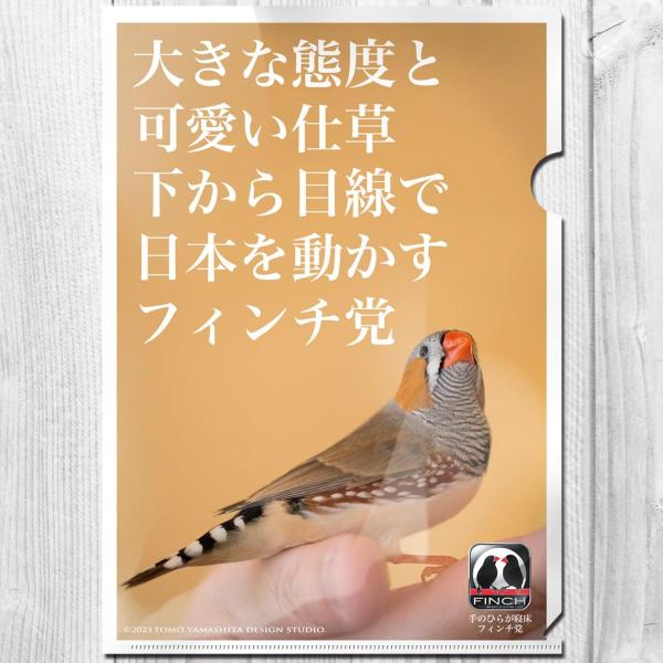A4クリアファイル　フィンチ党 「下から目線で日本を動かすフィンチ党」
