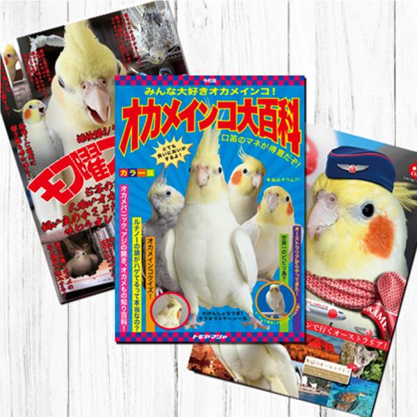 イベント等で大人気のポスターです。B3サイズの3枚セット♪サイズ：B3（364×515mm）※丸めた状態で発送致します。