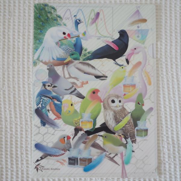 A4サイズのクリアファイルです。多彩な鳥の羽色の発色メカニズムをわかりやすく分類したクリアファイルです。図は英語表記ですが、ほとんどカタカナ読みできる平易なものです。ポリプロピレン製、オフセット印刷サイズ：A4