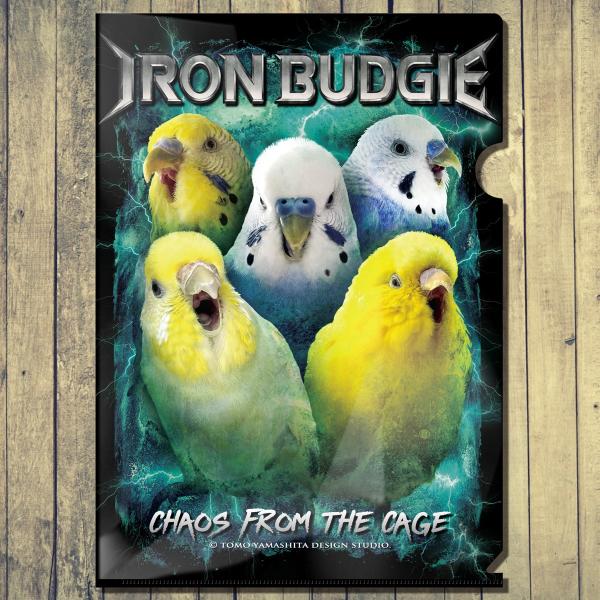 【発売日：2025年10月18日】セキセイインコ メタルバンド アイアンバジー ( IRON BUDGIE ) サイズ：A4クリアファイル