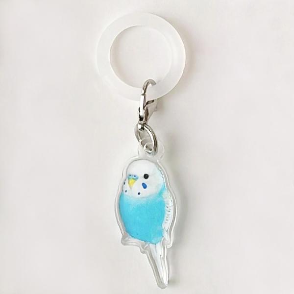 【発売日：2025年10月27日】かわいいインコたちのアクリルマーカーチャームです。傘やペットボトルにつけて目印に♪シリコンリングを外すとチャームとしてお使いいただけます。シリコンリングは伸びるので直径3cmくらいまでのものにお使いいただけ...