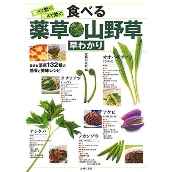 食べて効く 飲んで効く 食べる薬草・山野草早わかり主婦の友社新品