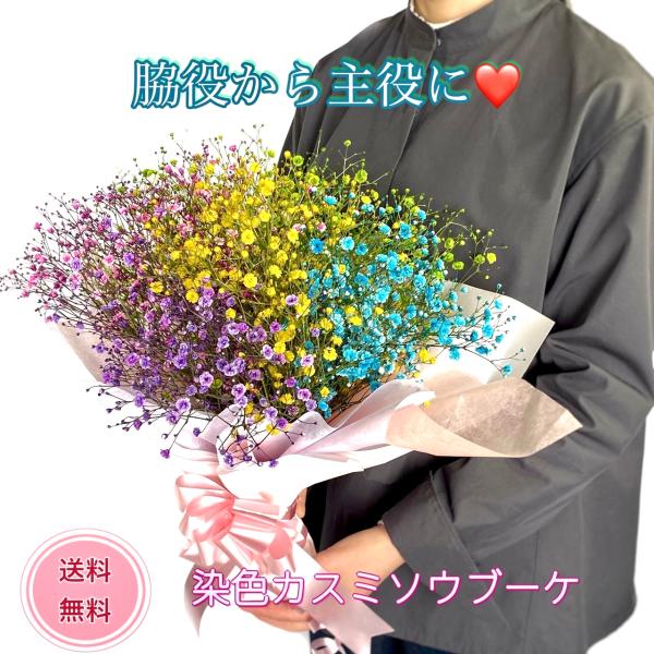 ◇無料のメッセージカード付き◇誰もが知っている「カスミソウ」を専用の染め液で着色した　「カラーカスミソウ」です。5色ミックスでカラフルな花束は還暦のお祝いや誕生日などのプレゼントにおすすめの女性に人気のギフトです☆カスミソウはドライフラワー...