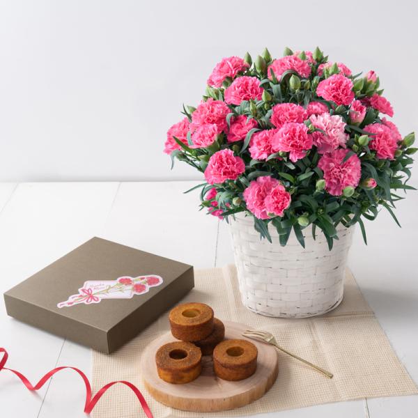 しっとりバームクーヘンにカラメルソースをまとわせ、砂糖をかけてさらに焼き上げました。焦がしキャラメルがしみ込む、ひと手間かけた贅沢なバームクーヘンです。ピンクのグラデーションが美しいカーネーションとセットでお届けします。■商品内容：焦がしキ...