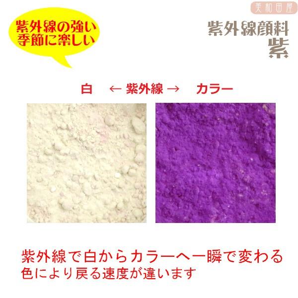 紫外線顔料　紫　（レジン着色顔料）紫外線に反応し色が変わるレジン着色顔料です室内では白っぽい色で室外では色が発色します白からカラーへは一瞬です。カラーから白へは1〜3分程度、色により戻る速度が違います。紫外線で色が濃くなるため、レジンに入れ...