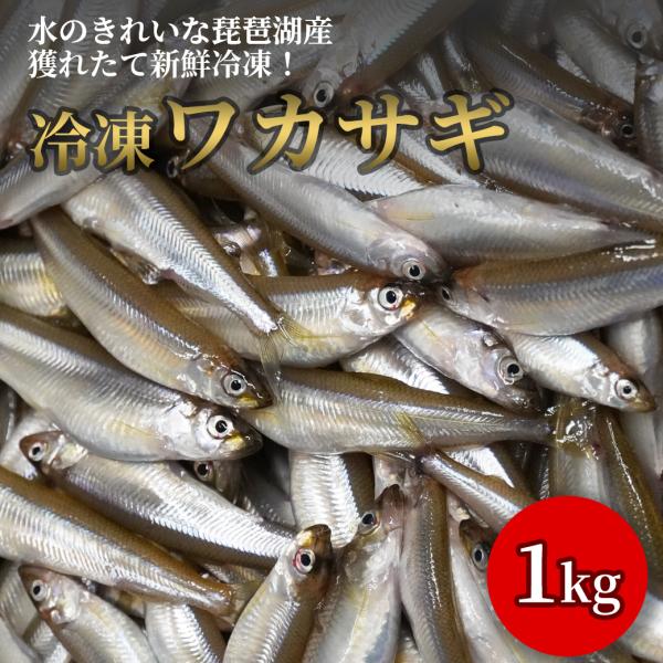 商品名 【調理用】 びわ湖産 天然ワカサギ （味付けなし/冷凍）内容量 1000g使用例 家庭料理用、業務用食材として原材料 びわ湖産天然ワカサギアレルギー表示  賞味期限 冷凍庫で３ヶ月間保存方法 冷凍庫※解凍後はお早めにお召し上がりくだ...