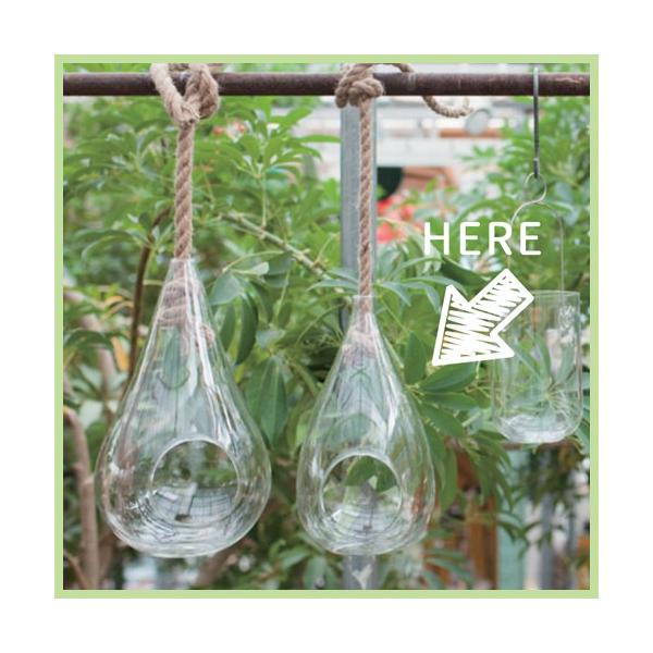 可愛いガラスの中型ハンギングテラリウム-----------------------------------------●商品名 :LARGE HANKING VASE 28 ●内容 : 本体×1(ロープ付)●素材 : ガラス●サイズ:φ1...