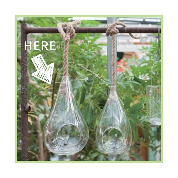 大型ガラスのテラリウム-----------------------------------------●商品名 :LARGE HANKING VASE 32●内容 : 本体×1(ロープ付)●素材 : ガラス●サイズ :φ18/31.5cm...
