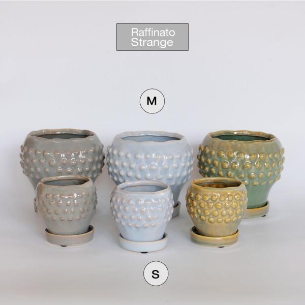 鉢表面の突起が特徴的なユニークな植木鉢底部に向かって細くなるすり鉢状のフォルムが、植物を引き立てるだけでなく、インテリアとしても存在感を放ちます。-----------------------------------------●商品名 :...