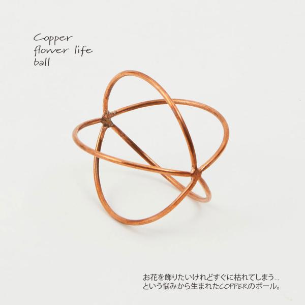 切り花を長持ちさせられる銅製のアイテム格子状なので、お花を生けるのに便利-----------------------------------------●商品名 :ＣＯＰＰＥＲ フラワーライフ ボール雑貨 切り花 抗菌 殺菌●内容 : 本...