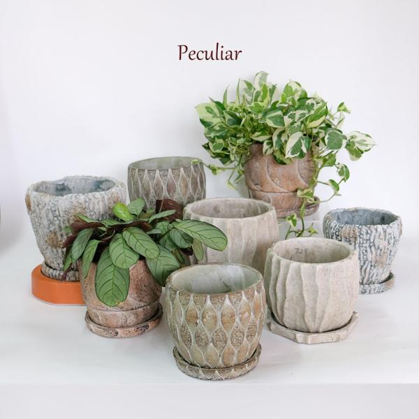 -----------------------------------------●商品名 : Peculiar S/Mサイズ 受け皿付き●内容 : 本体×1受皿×1●素材 :セメント●サイズ :【Aタイプ】　Mサイズ　本体:Φ13.5/H...