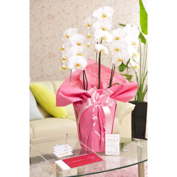 ●お祝い用お祝いギフト、お悔やみギフトの専門店SP Gift's（エスピーギフト）では、誕生日祝い、結婚祝い、出産祝い、退職祝い、還暦や米寿などの長寿祝いなどの各種お祝い事へのプレゼントや贈り物から、開店祝い、開業祝い、移転祝い、就任祝いな...