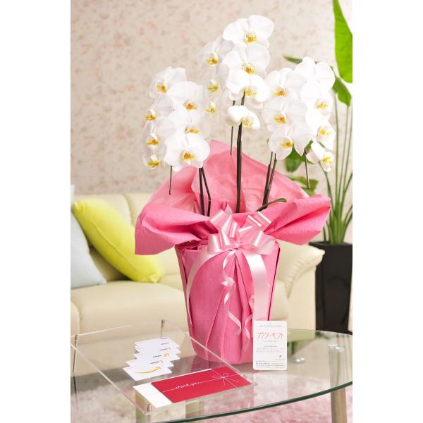 ●お祝い用お祝いギフト、お悔やみギフトの専門店SP Gift's（エスピーギフト）では、誕生日祝い、結婚祝い、出産祝い、退職祝い、還暦や米寿などの長寿祝いなどの各種お祝い事へのプレゼントや贈り物から、開店祝い、開業祝い、移転祝い、就任祝いな...