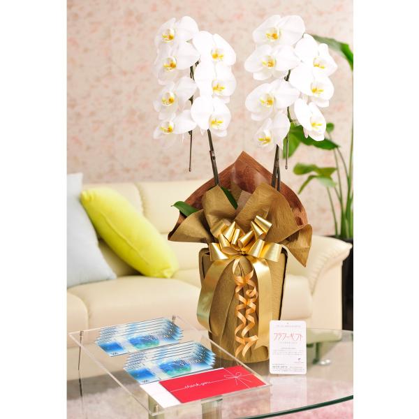 ●お祝い用お祝いギフト、お悔やみギフトの専門店SP Gift's（エスピーギフト）では、誕生日祝い、結婚祝い、出産祝い、退職祝い、還暦や米寿などの長寿祝いなどの各種お祝い事へのプレゼントや贈り物から、開店祝い、開業祝い、移転祝い、就任祝いな...