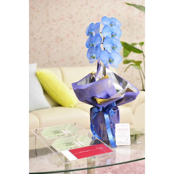 ●お祝い用お祝いギフト、お悔やみギフトの専門店SP Gift's（エスピーギフト）では、誕生日祝い、結婚祝い、出産祝い、退職祝い、還暦や米寿などの長寿祝いなどの各種お祝い事へのプレゼントや贈り物から、開店祝い、開業祝い、移転祝い、就任祝いな...