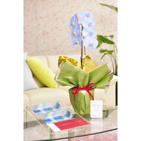 ●お祝い用お祝いギフト、お悔やみギフトの専門店SP Gift's（エスピーギフト）では、誕生日祝い、結婚祝い、出産祝い、退職祝い、還暦や米寿などの長寿祝いなどの各種お祝い事へのプレゼントや贈り物から、開店祝い、開業祝い、移転祝い、就任祝いな...