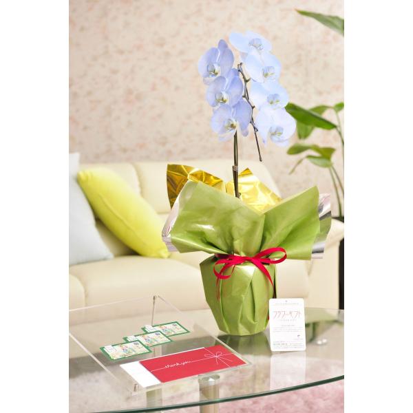 ●お祝い用お祝いギフト、お悔やみギフトの専門店SP Gift's（エスピーギフト）では、誕生日祝い、結婚祝い、出産祝い、退職祝い、還暦や米寿などの長寿祝いなどの各種お祝い事へのプレゼントや贈り物から、開店祝い、開業祝い、移転祝い、就任祝いな...