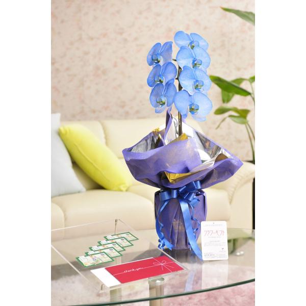 ●お祝い用お祝いギフト、お悔やみギフトの専門店SP Gift's（エスピーギフト）では、誕生日祝い、結婚祝い、出産祝い、退職祝い、還暦や米寿などの長寿祝いなどの各種お祝い事へのプレゼントや贈り物から、開店祝い、開業祝い、移転祝い、就任祝いな...