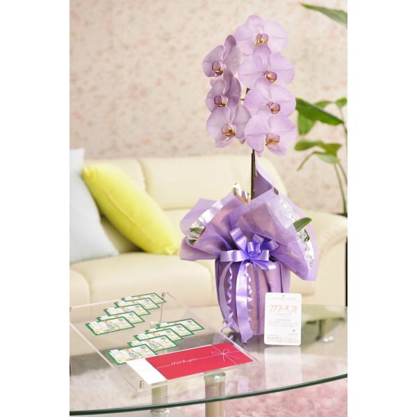 ●お祝い用お祝いギフト、お悔やみギフトの専門店SP Gift's（エスピーギフト）では、誕生日祝い、結婚祝い、出産祝い、退職祝い、還暦や米寿などの長寿祝いなどの各種お祝い事へのプレゼントや贈り物から、開店祝い、開業祝い、移転祝い、就任祝いな...