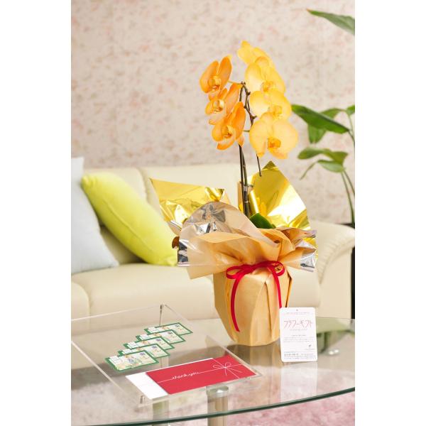 ●お祝い用お祝いギフト、お悔やみギフトの専門店SP Gift's（エスピーギフト）では、誕生日祝い、結婚祝い、出産祝い、退職祝い、還暦や米寿などの長寿祝いなどの各種お祝い事へのプレゼントや贈り物から、開店祝い、開業祝い、移転祝い、就任祝いな...