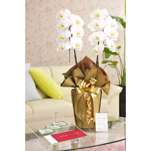 ●お祝い用お祝いギフト、お悔やみギフトの専門店SP Gift's（エスピーギフト）では、誕生日祝い、結婚祝い、出産祝い、退職祝い、還暦や米寿などの長寿祝いなどの各種お祝い事へのプレゼントや贈り物から、開店祝い、開業祝い、移転祝い、就任祝いな...