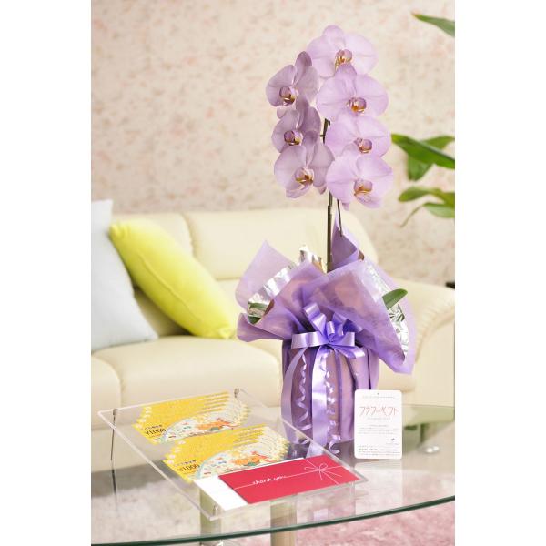 ●お祝い用お祝いギフト、お悔やみギフトの専門店SP Gift's（エスピーギフト）では、誕生日祝い、結婚祝い、出産祝い、退職祝い、還暦や米寿などの長寿祝いなどの各種お祝い事へのプレゼントや贈り物から、開店祝い、開業祝い、移転祝い、就任祝いな...